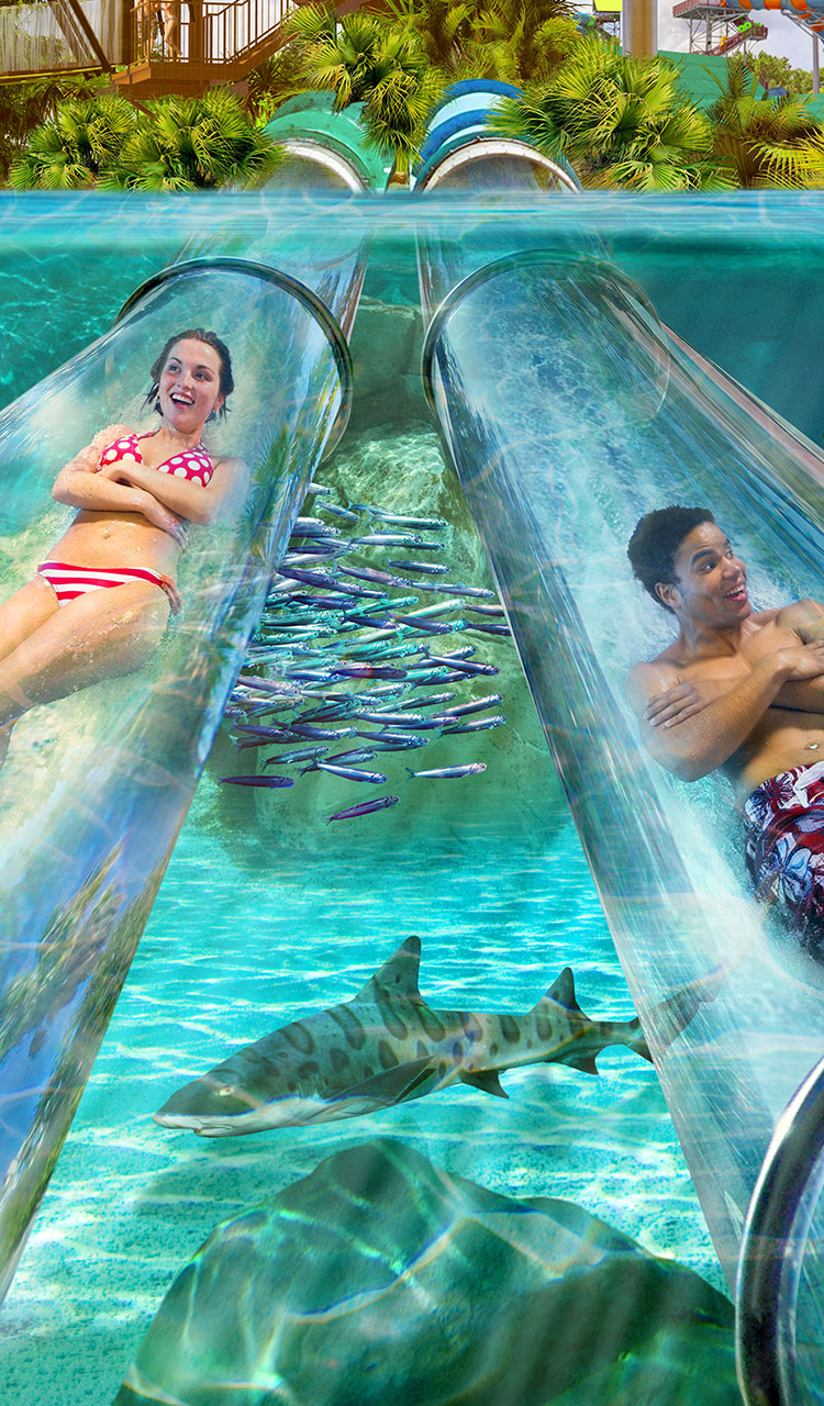 Aquatica Water Parks in Orlando and San Antonio